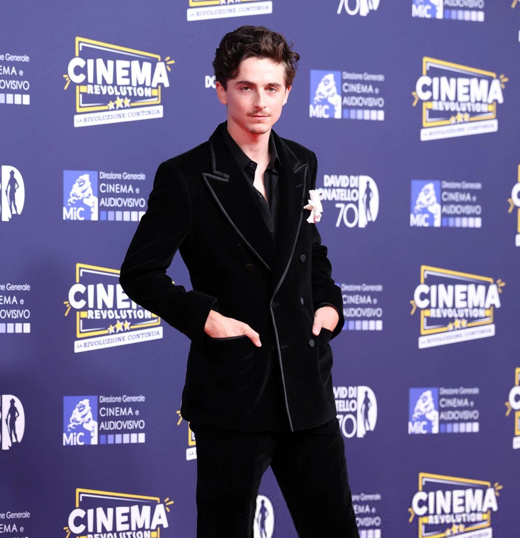 Timothée Chalamet Receives Honorary David Speciale Award in Italy ...